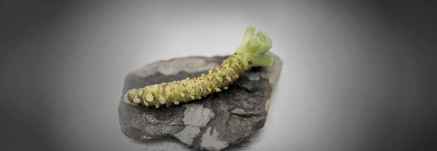 Order Real Wasabi Online - Riviera Seafood Club