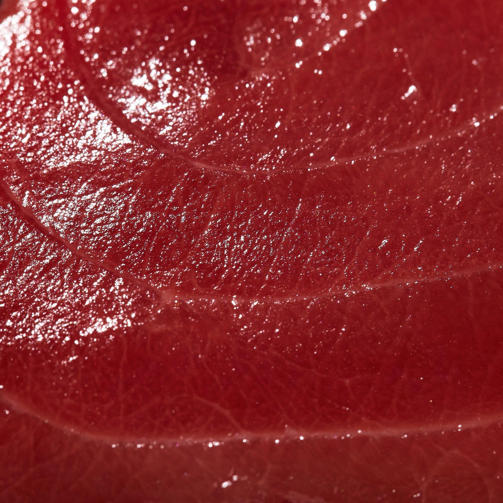 Bluefin Tuna Akami | Sashimi-Grade Bluefin Tuna Fish | Riviera Seafood Club