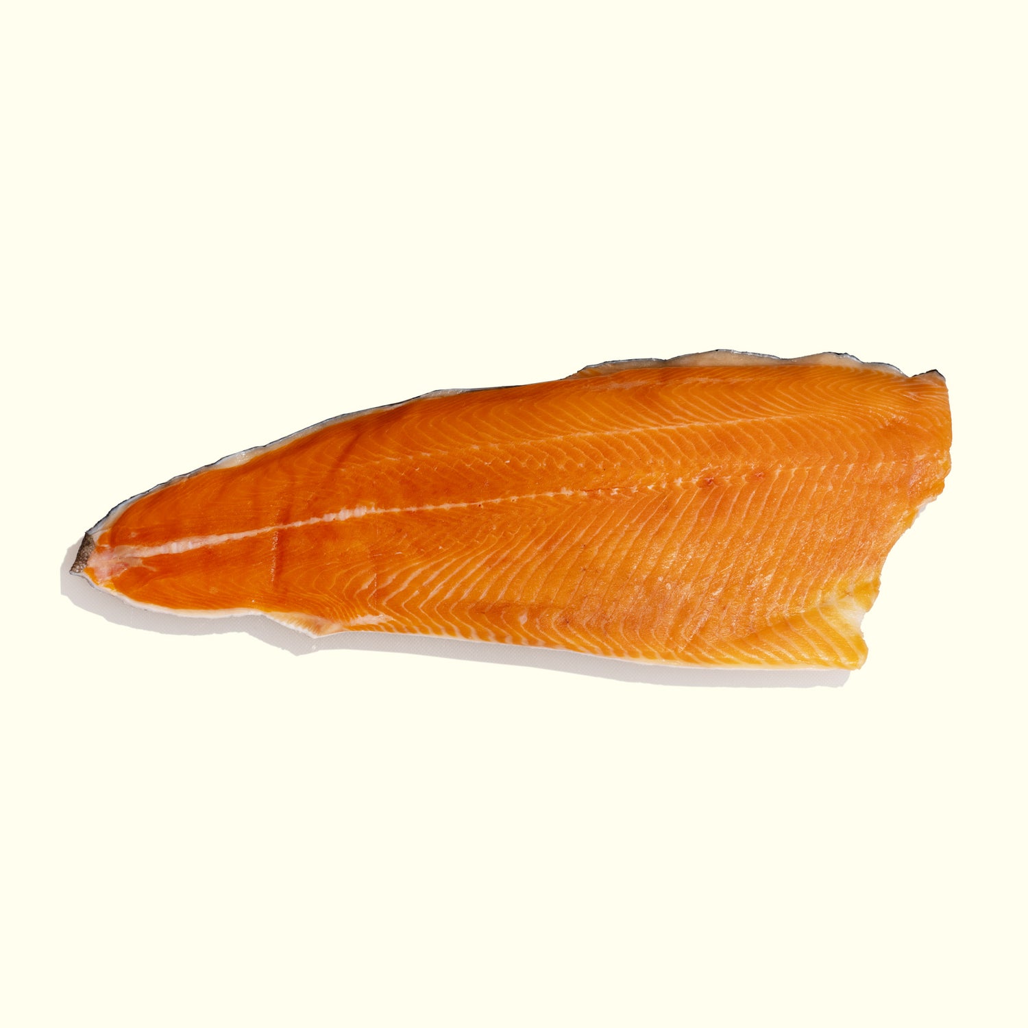 Steelhead Trout Filet