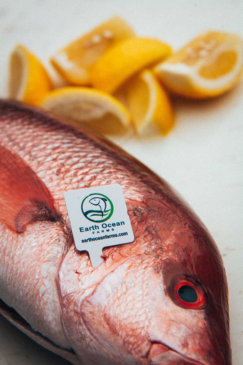All Products - Riviera Seafood Club